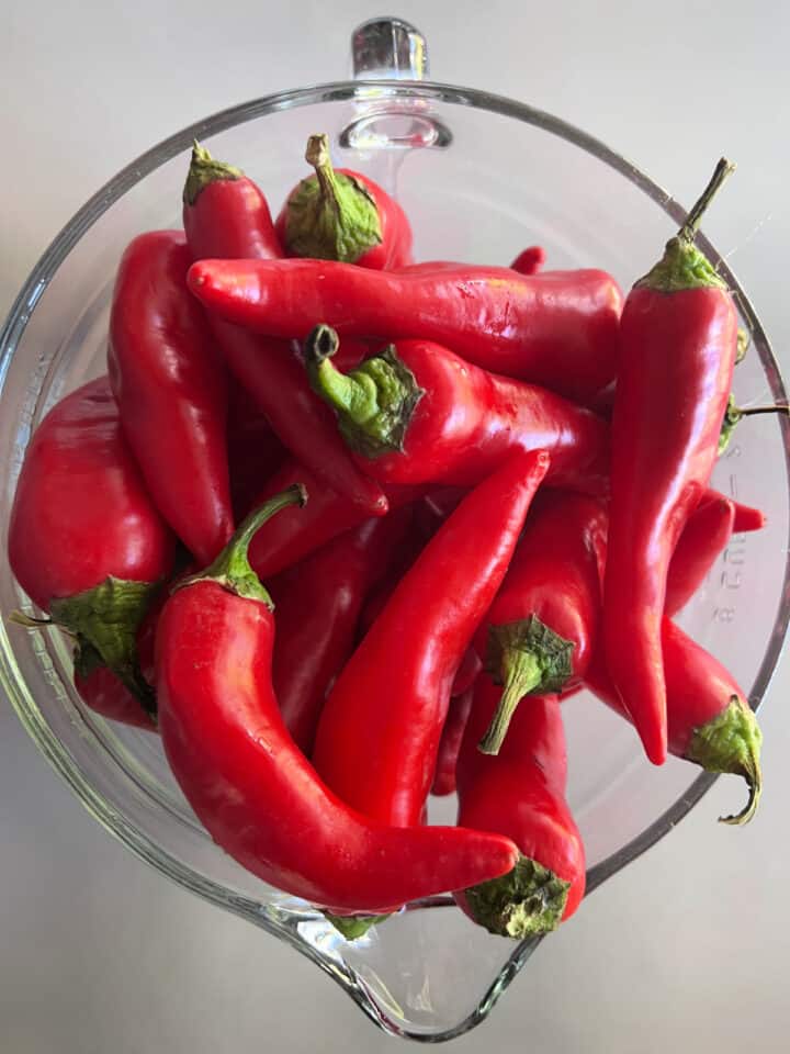 Easy New Mexican Red Chile Sauce - Brand New Vegan