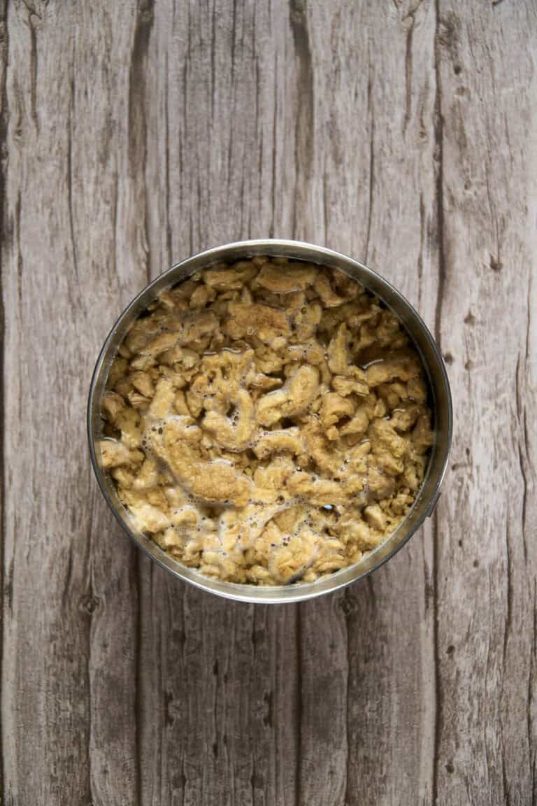 Vegan Carne Asada - Brand New Vegan